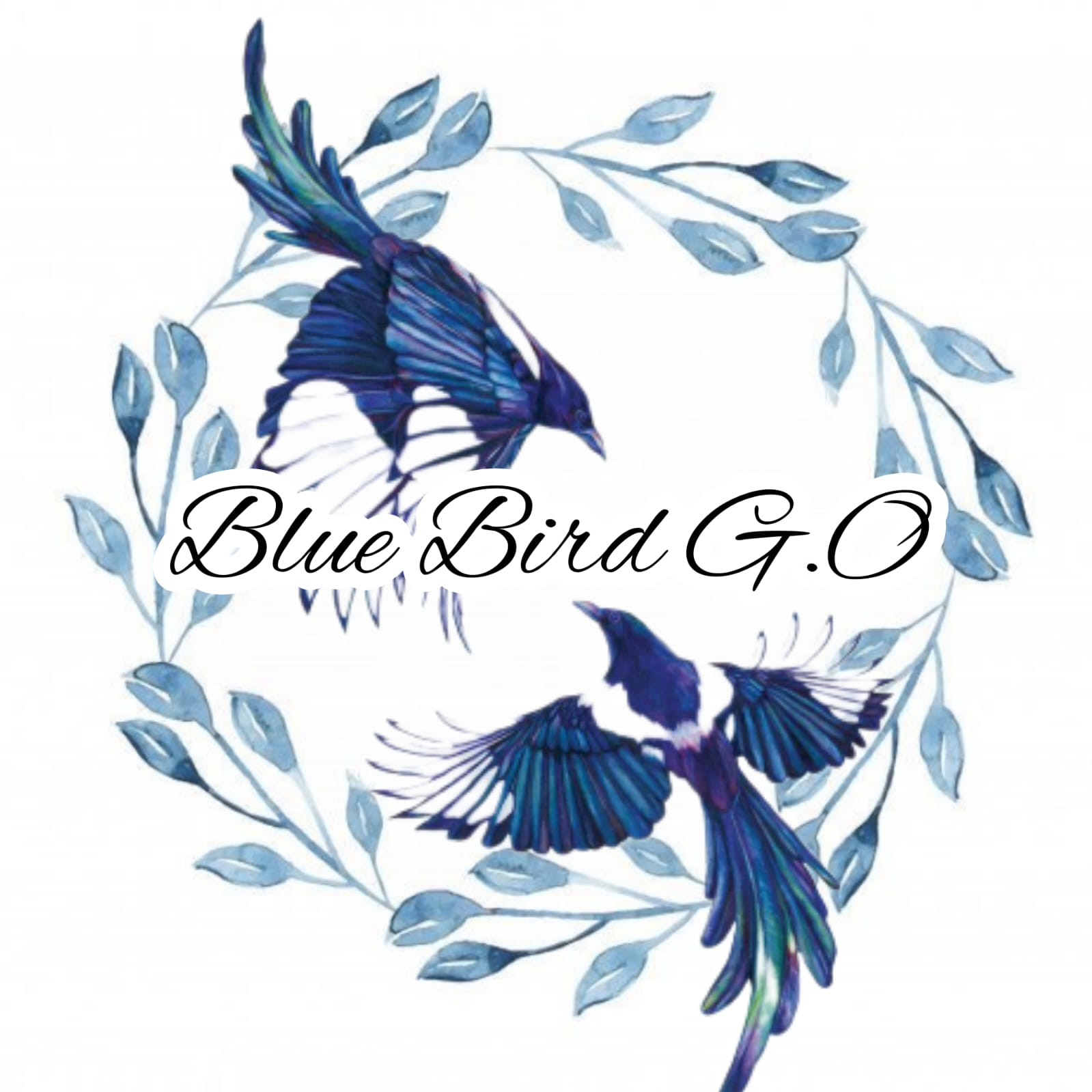 La tienda de blue_bird - LolaPay
